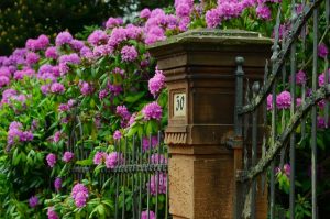 Clôture De Jardin : Quels Types De Barrières Végétales Choisir ...