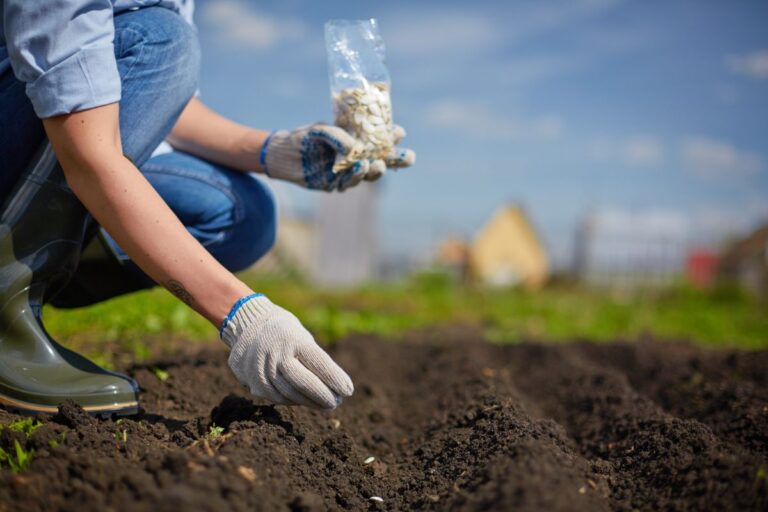 Les éléments Clés Des Engrais Organiques : Comprendre Les Nutriments ...